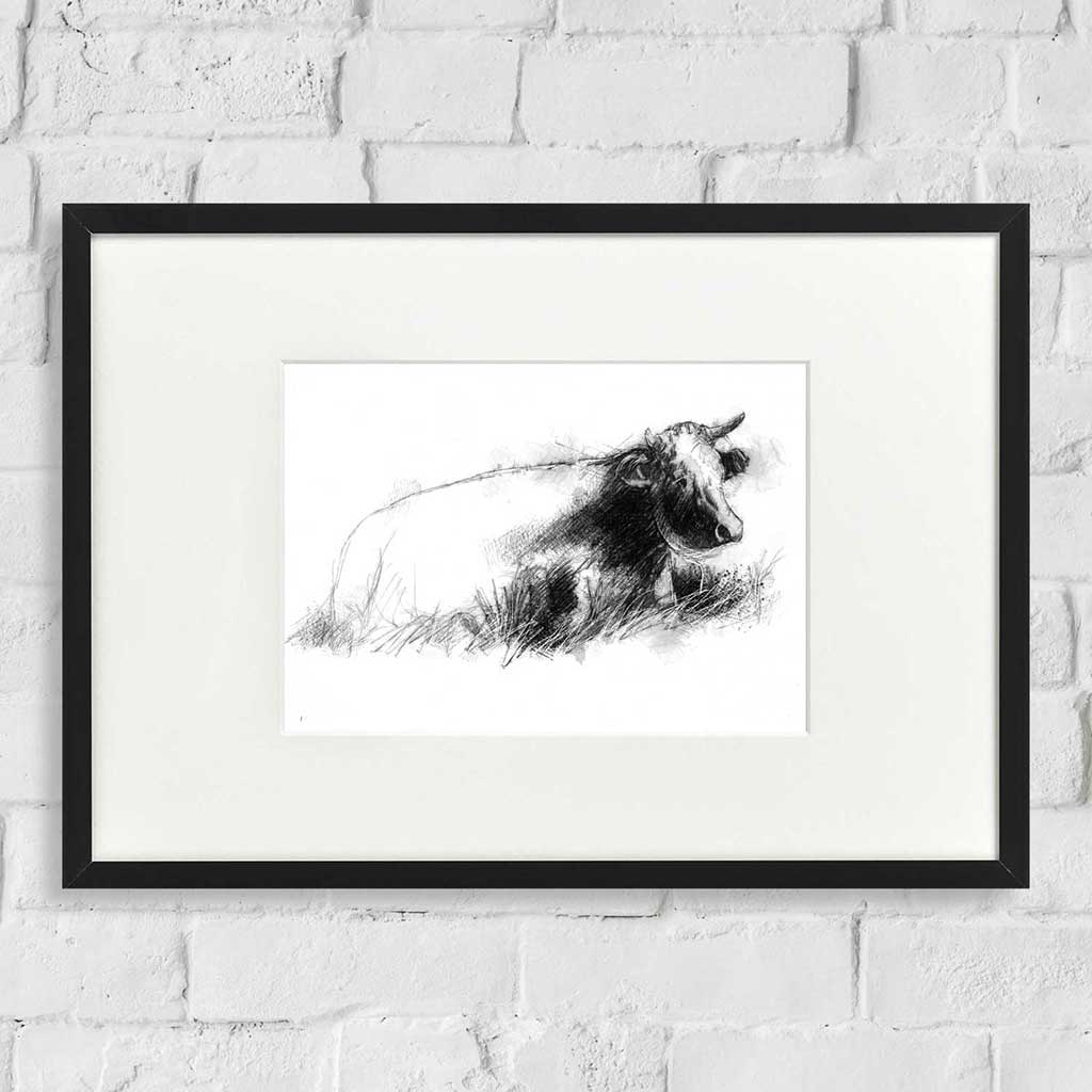 Cow resting | SeanBriggs