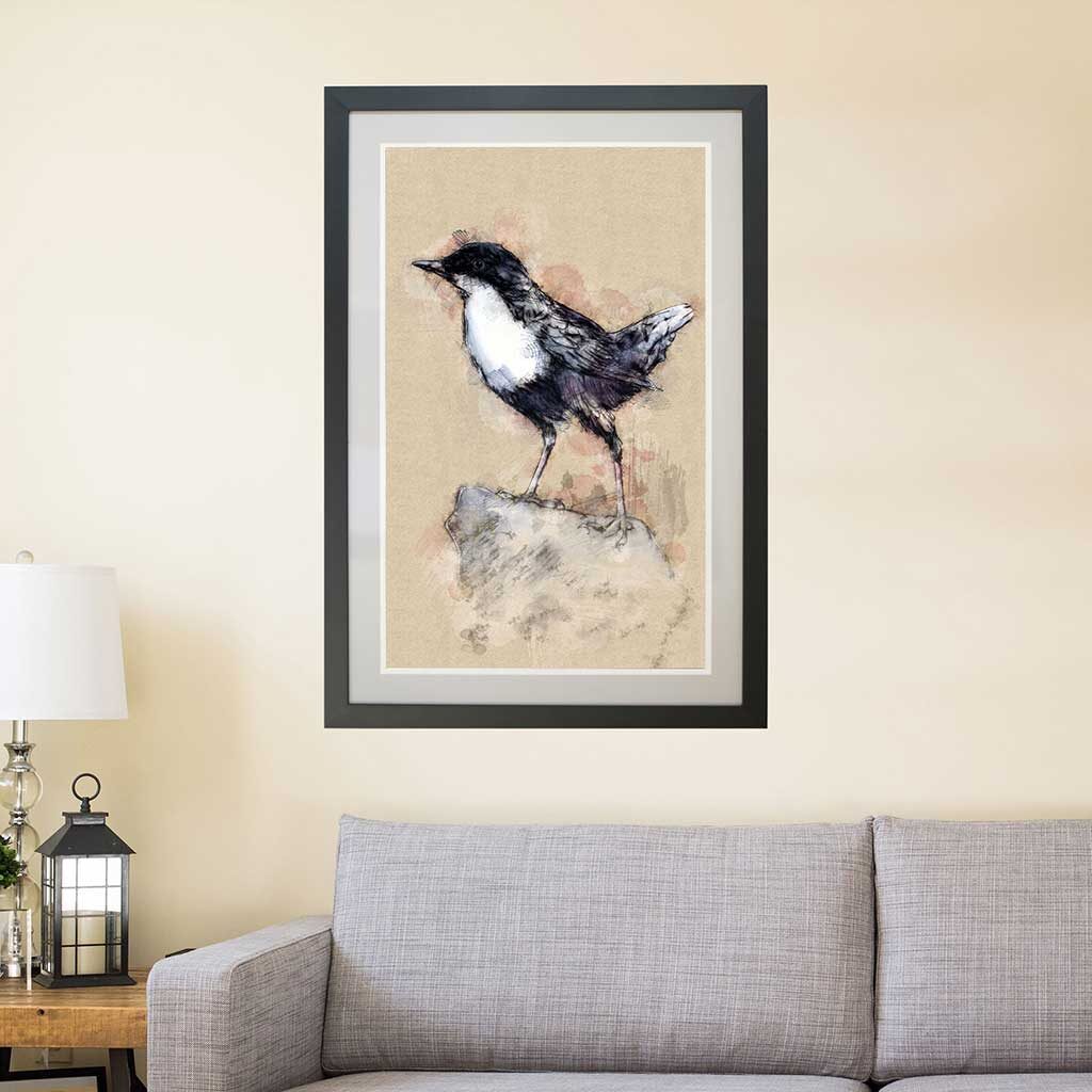 Dipper bird | SeanBriggs