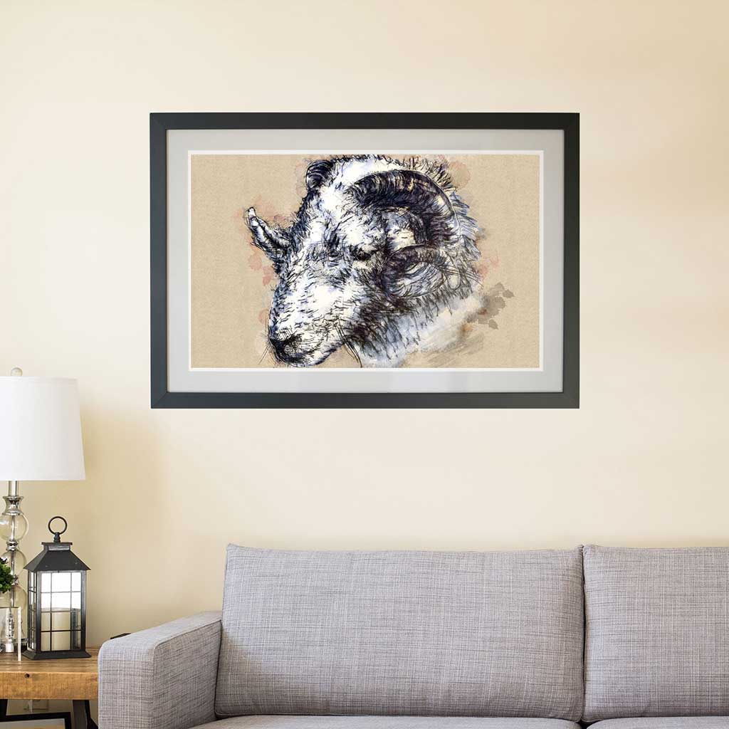 Herdwick ram | SeanBriggs