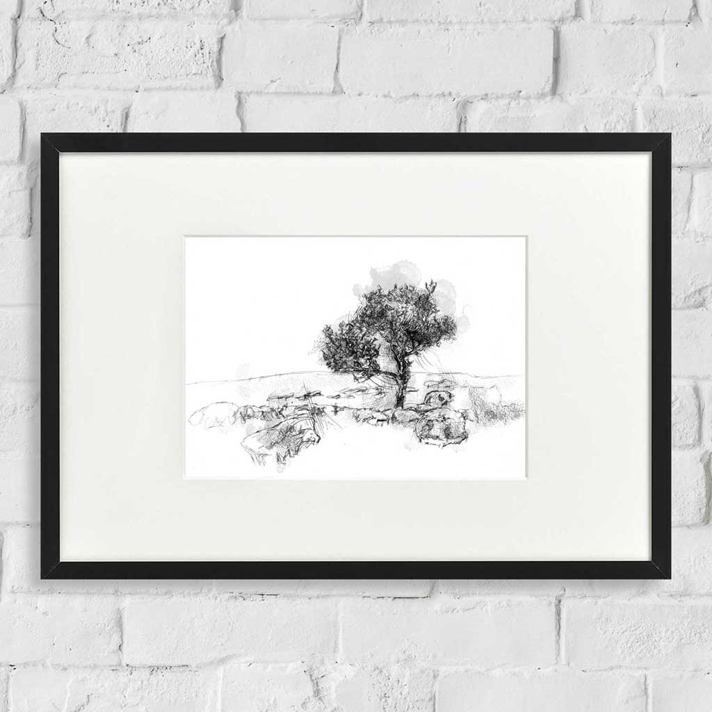 Limestone tree | SeanBriggs