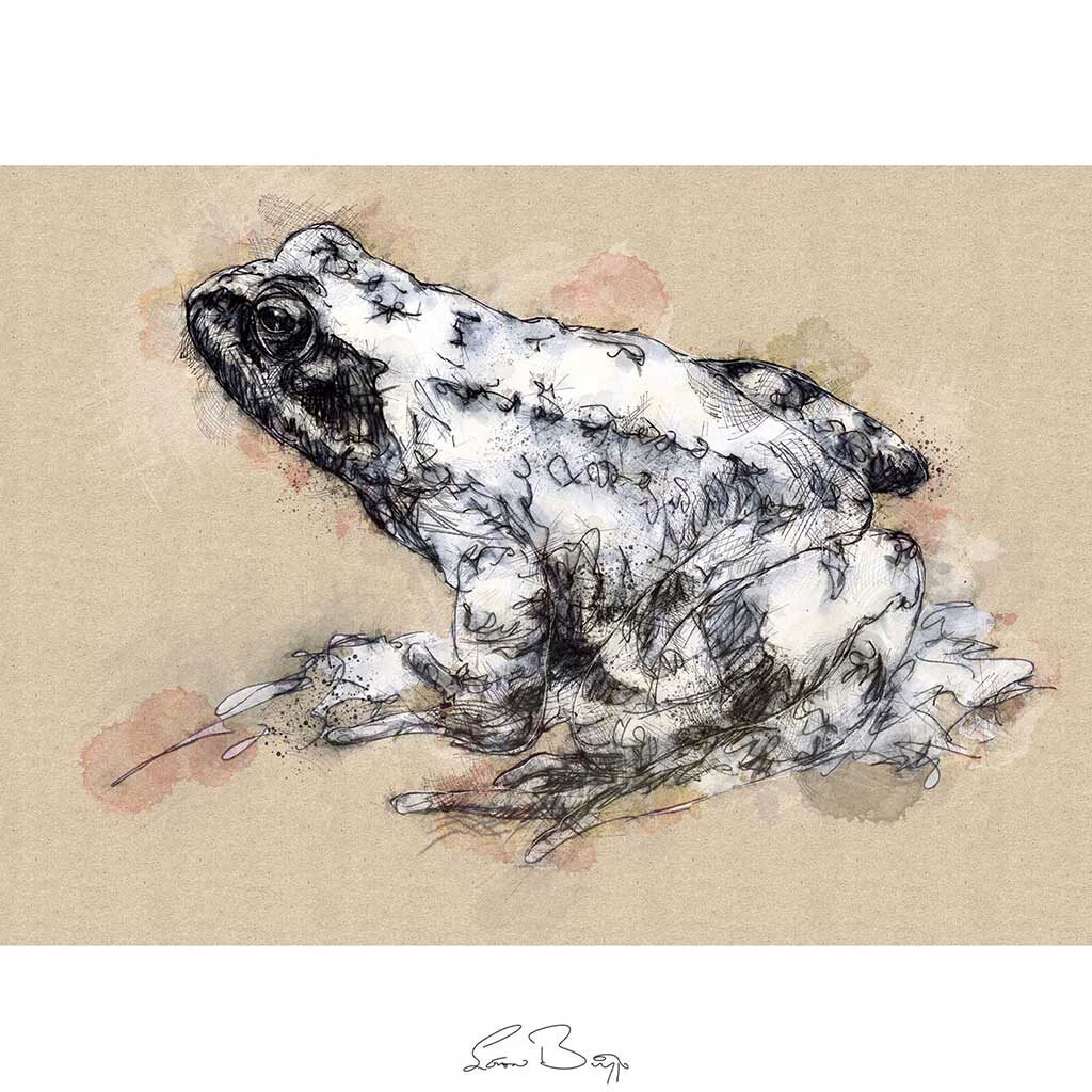 Common frog | SeanBriggs