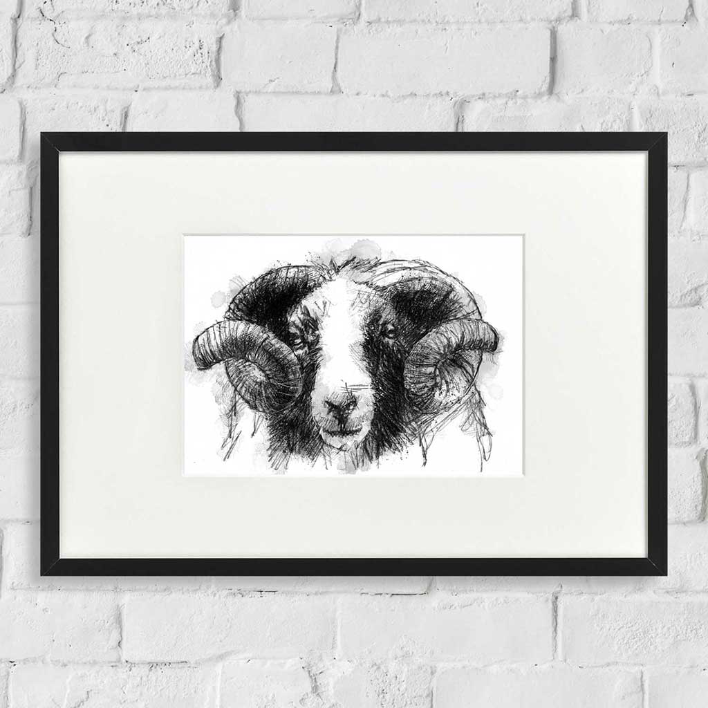 Jacob ram | SeanBriggs