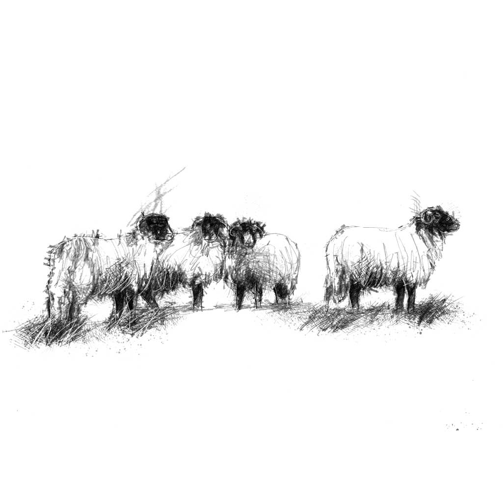 Sheep line | SeanBriggs