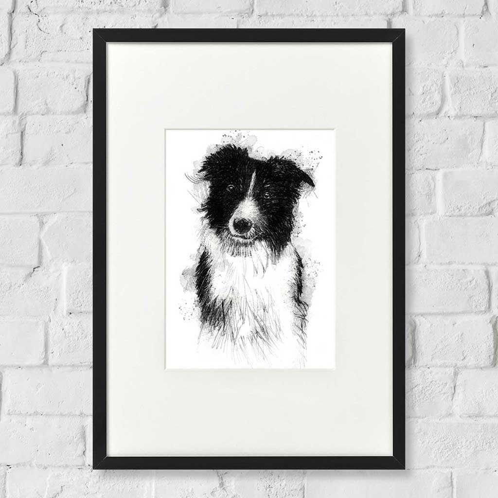 Sheep dog | SeanBriggs