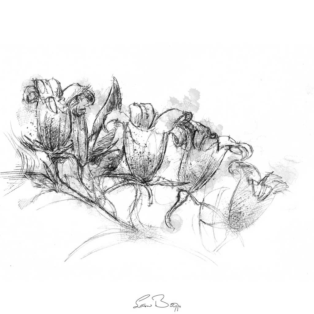 Flora sketches and drawings | SeanBriggs