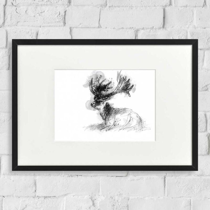 Fallow stag sketch | SeanBriggs