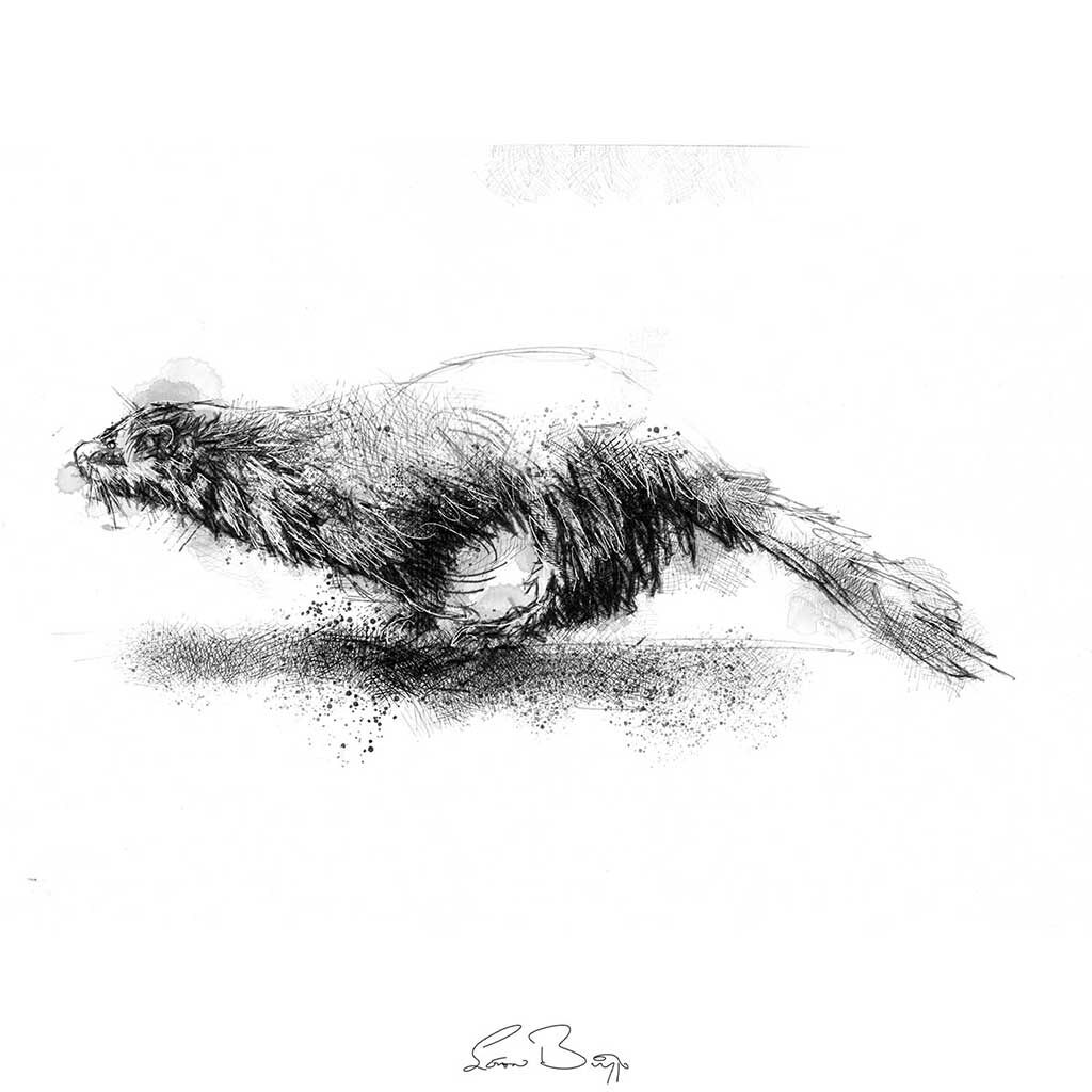 Original sketch | SeanBriggs