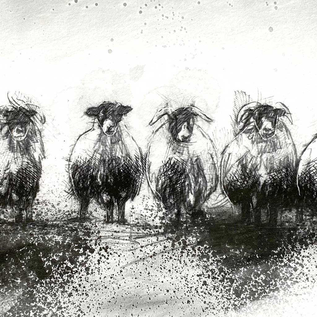 Sheep flock sketch | SeanBriggs