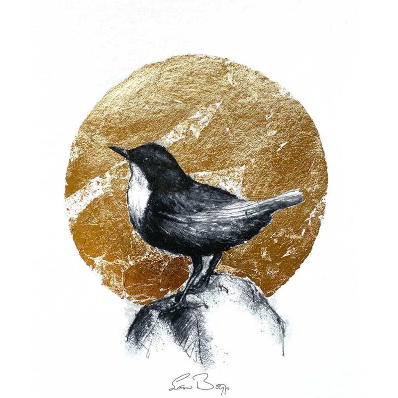 Dipper sketch | SeanBriggs