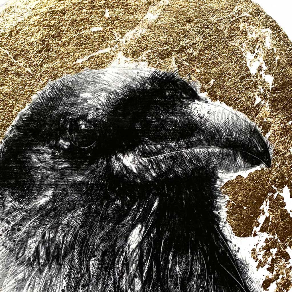 Raven sketch | SeanBriggs