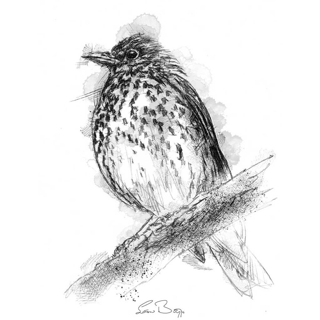 Original sketch | SeanBriggs