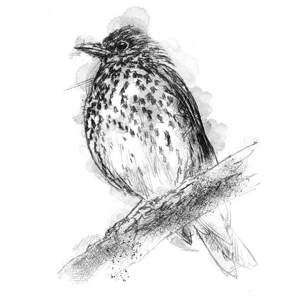 Original sketch | SeanBriggs