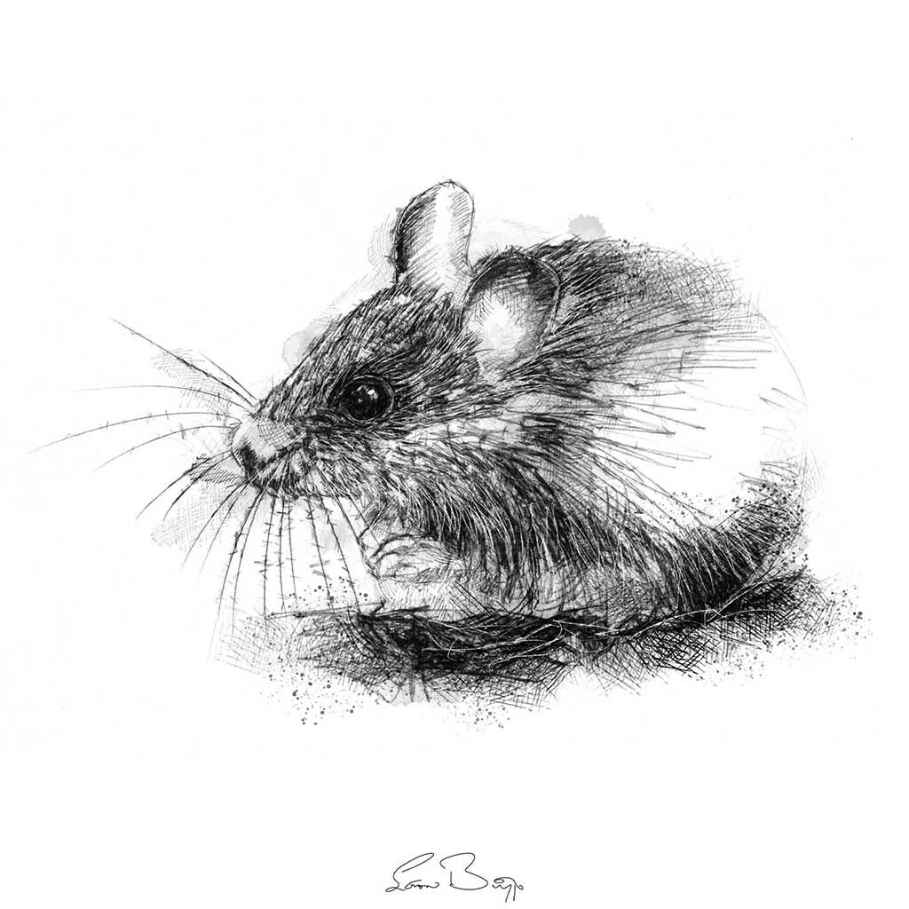 Original sketch | SeanBriggs