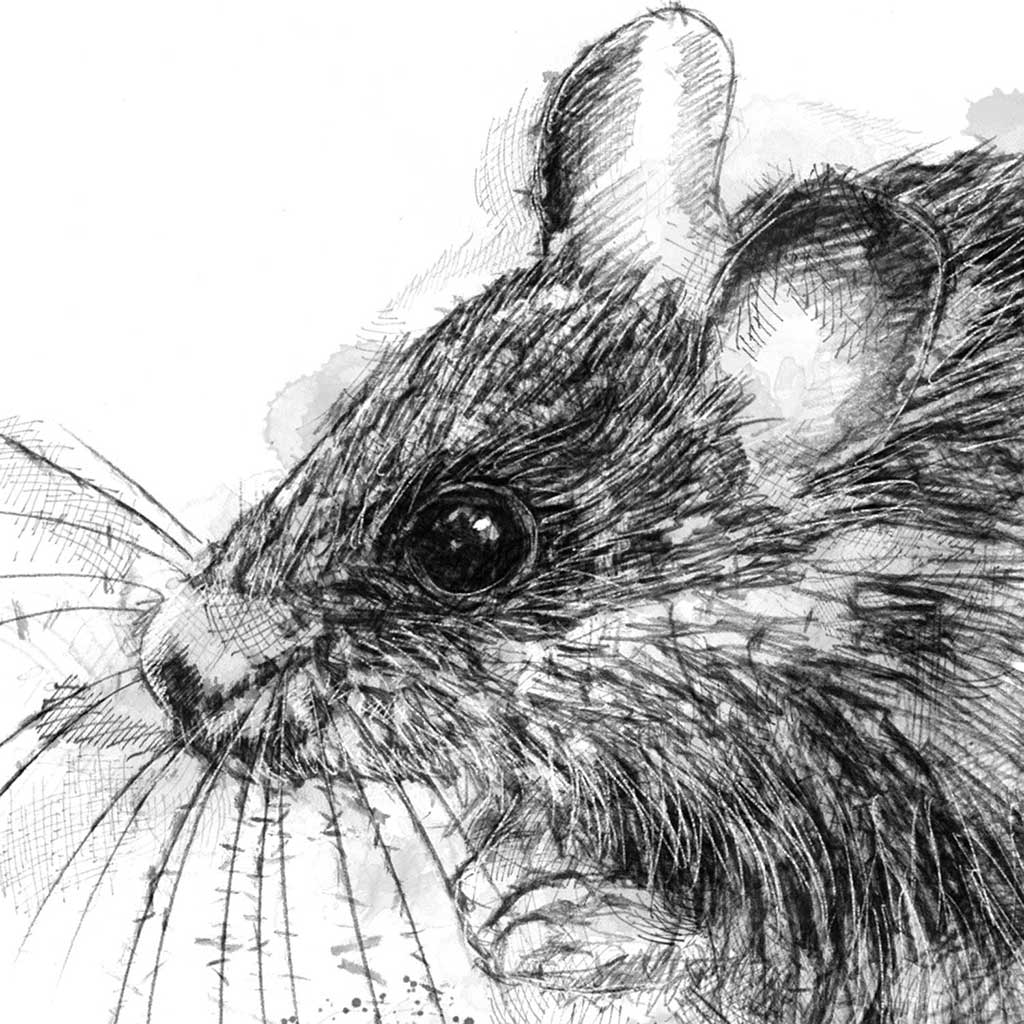 Original sketch | SeanBriggs