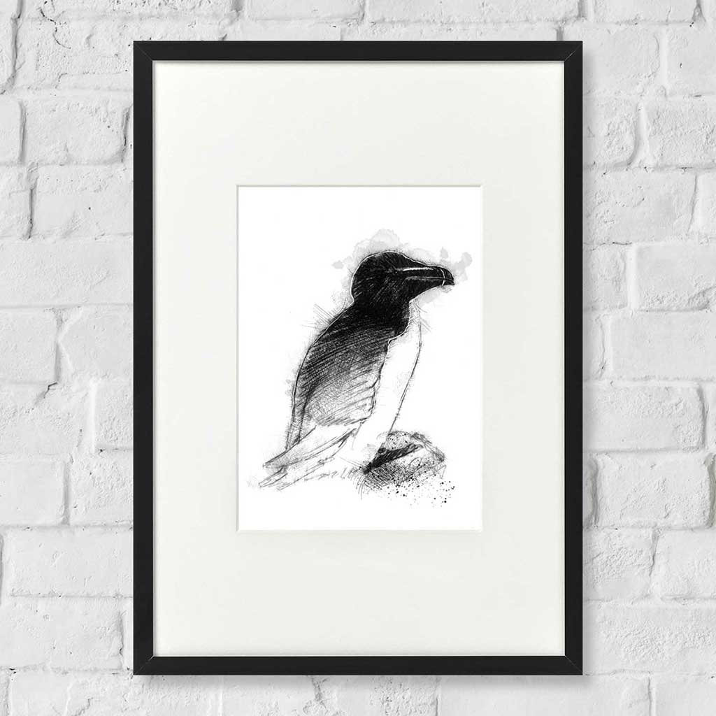 Razorbill sketch | SeanBriggs