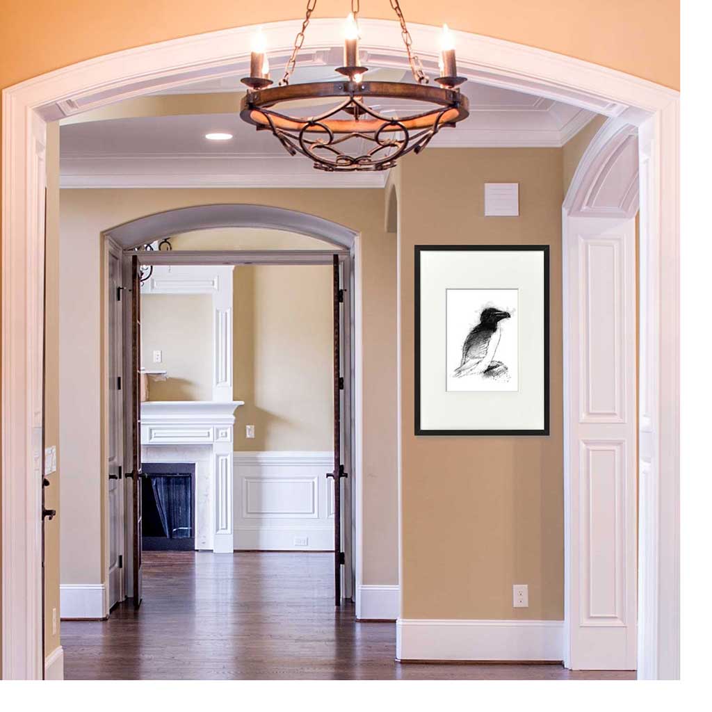 Razorbill sketch | SeanBriggs