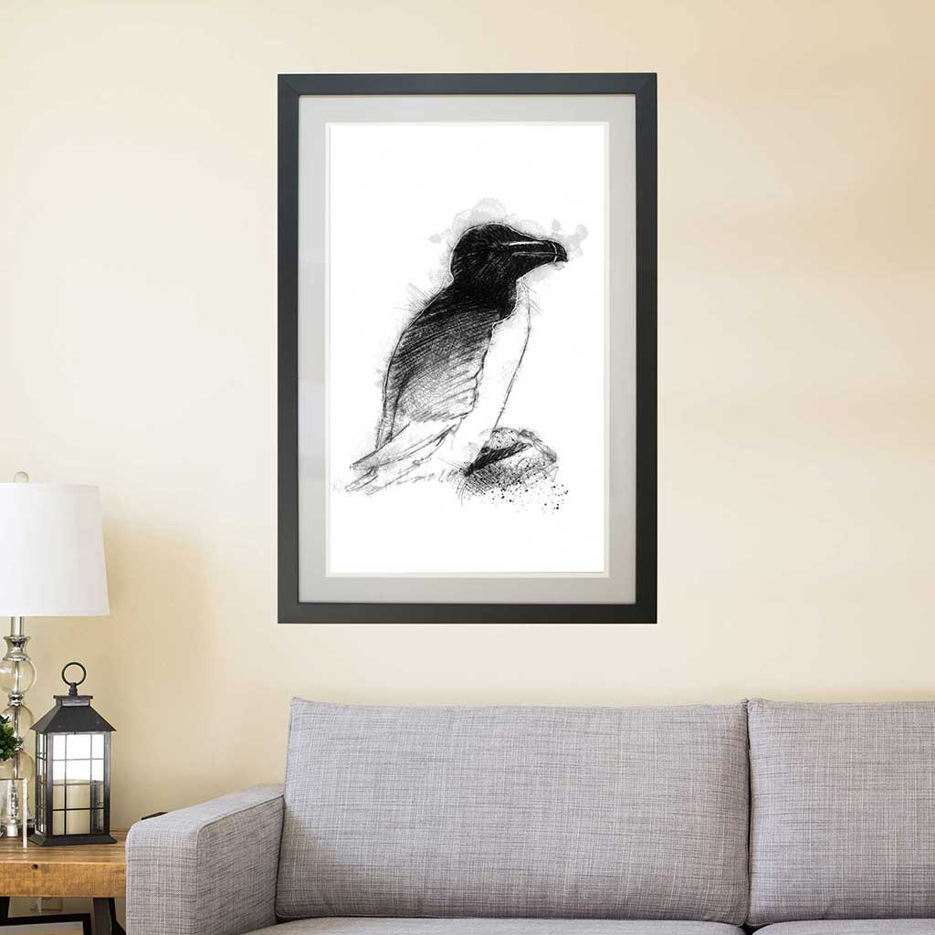 Razorbill sketch | SeanBriggs