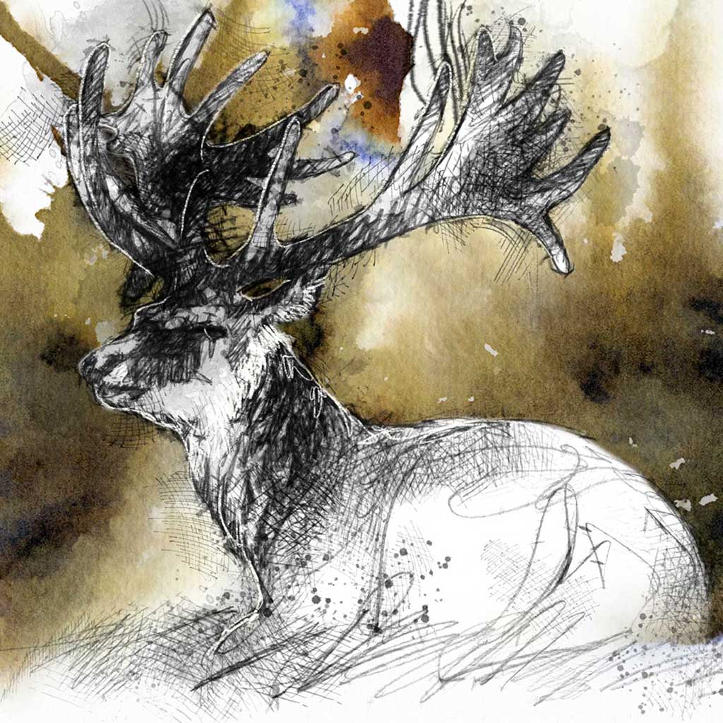Stag resting sketch | SeanBriggs