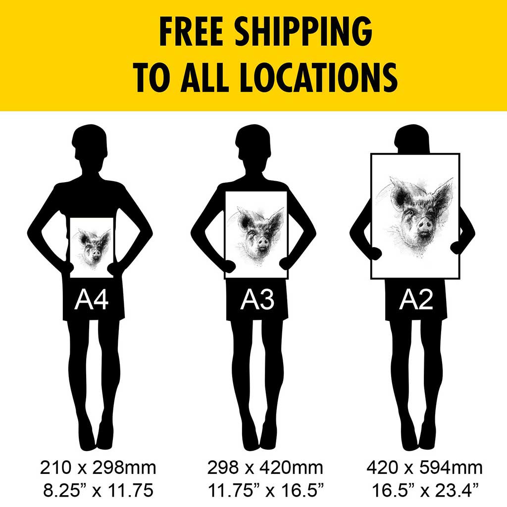 Big sow sketch | SeanBriggs