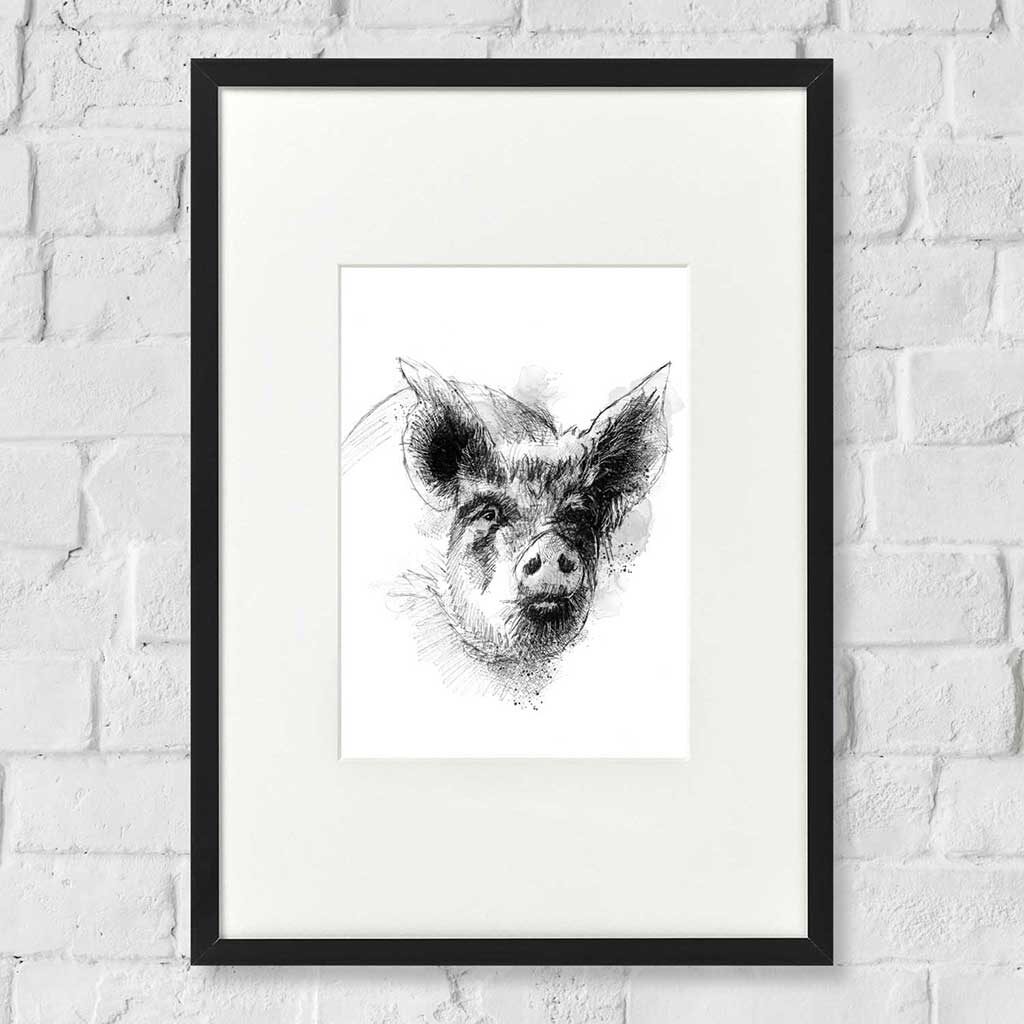 Big sow sketch | SeanBriggs