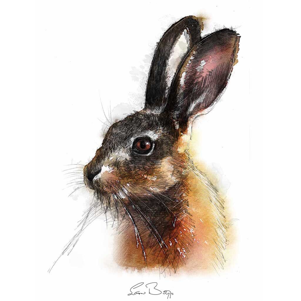 Wild animal sketches and drawings | SeanBriggs