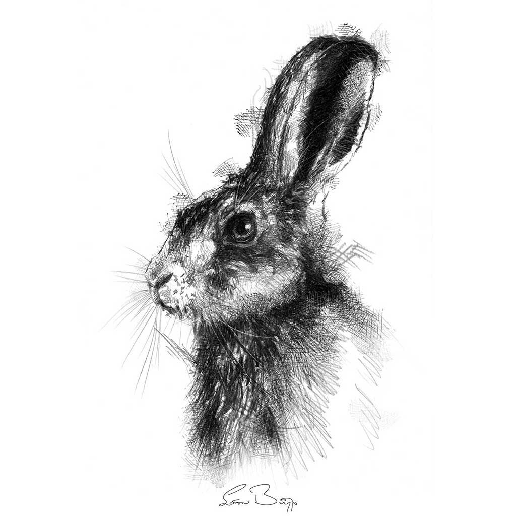 Wild animal sketches and drawings | SeanBriggs