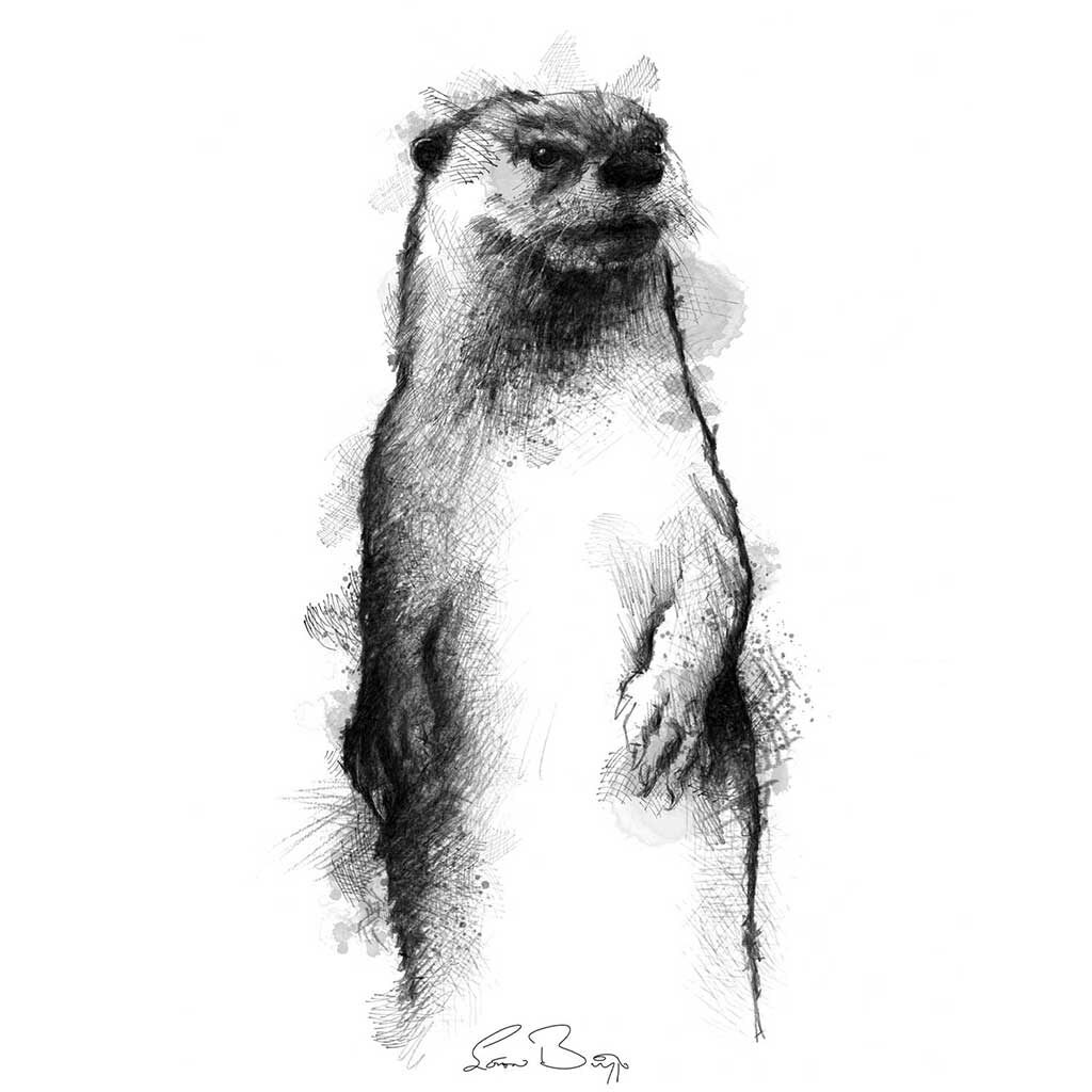 Wild animal sketches and drawings | SeanBriggs