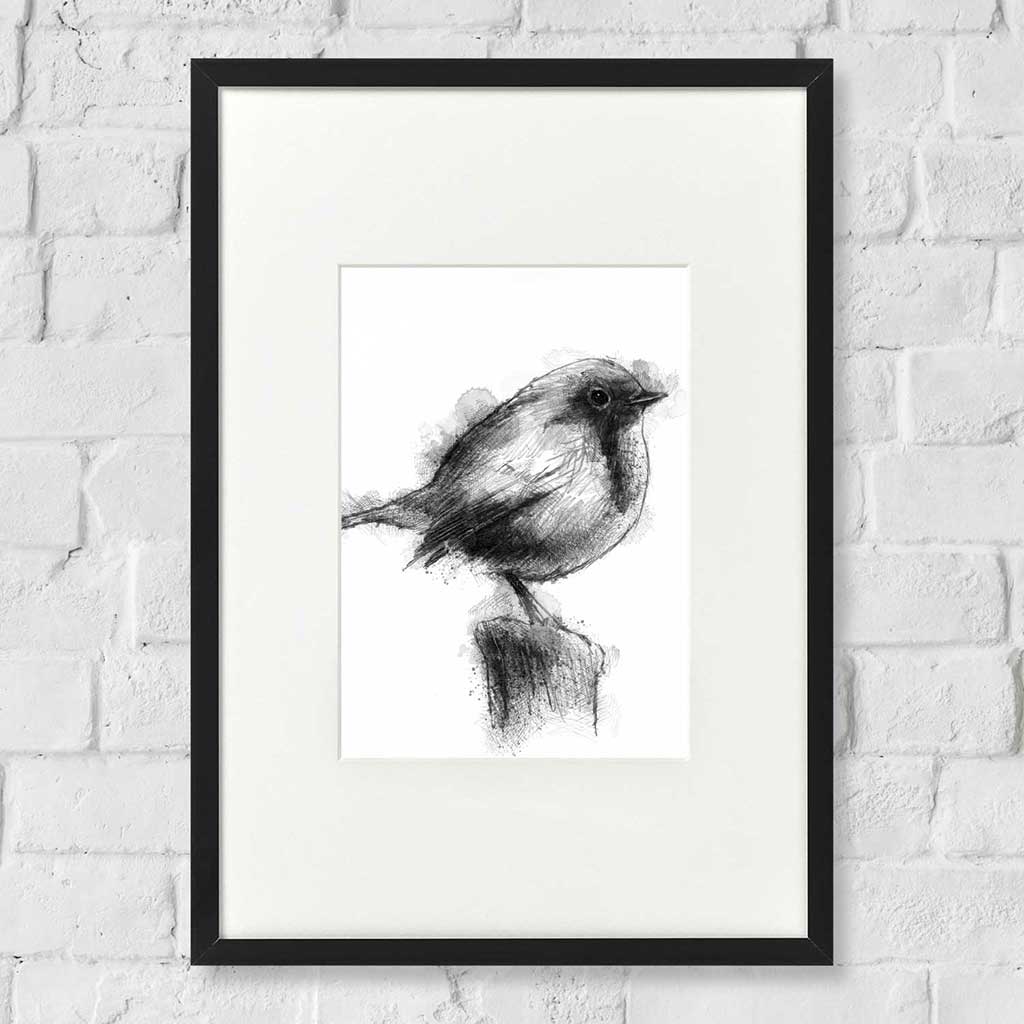 British robin sketch | SeanBriggs