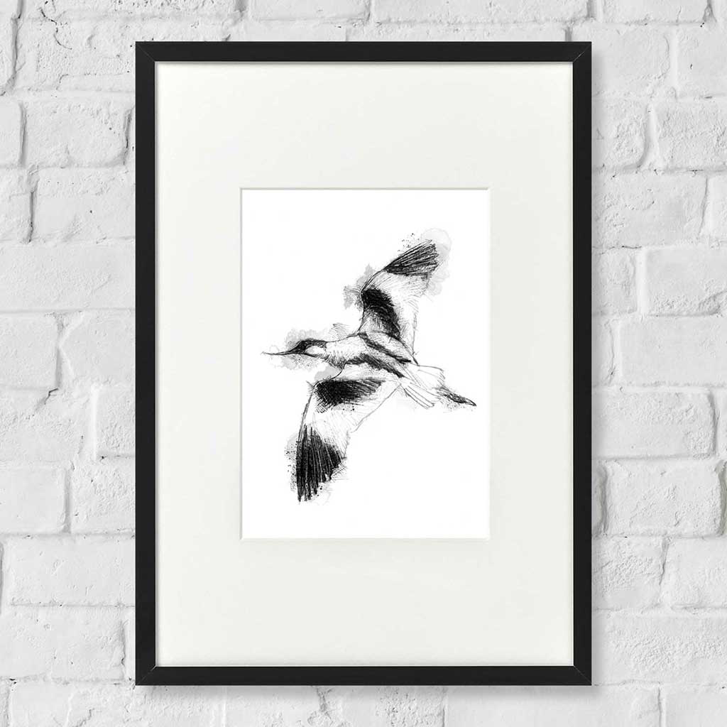 Avocet flight sketch | SeanBriggs