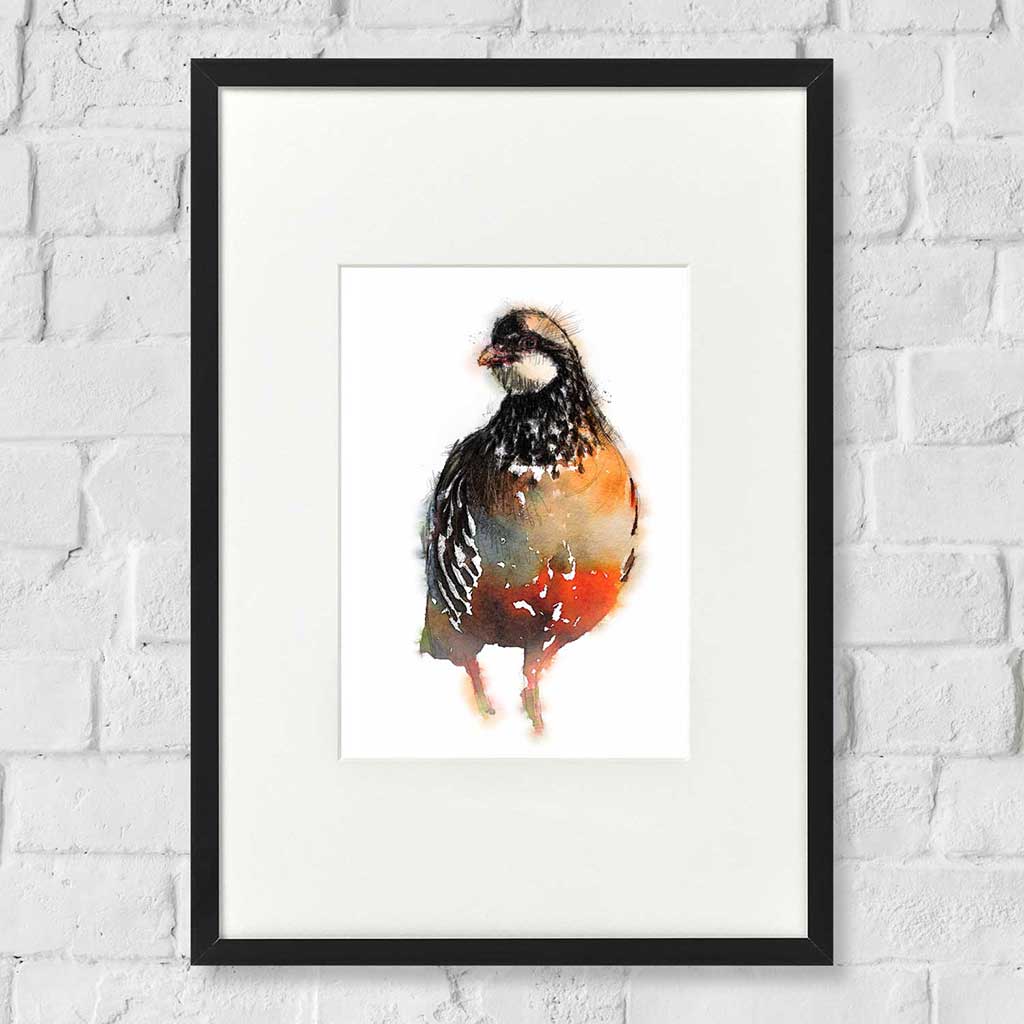 Partridge sketch | SeanBriggs