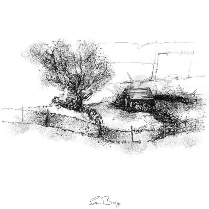 Sheep shed sketch | SeanBriggs