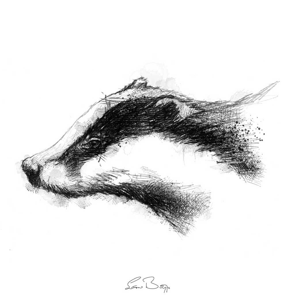 Original sketch | SeanBriggs