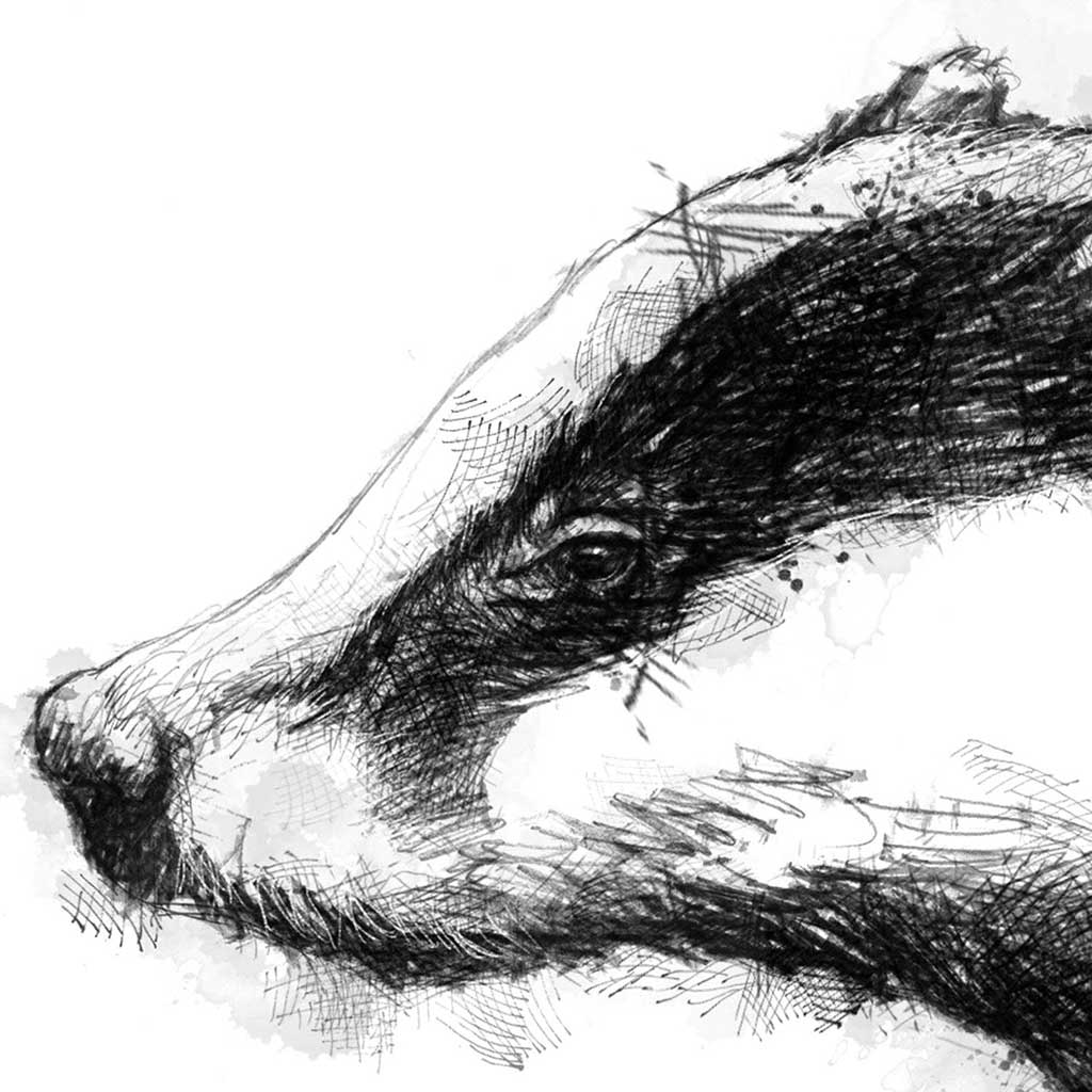 Original sketch | SeanBriggs