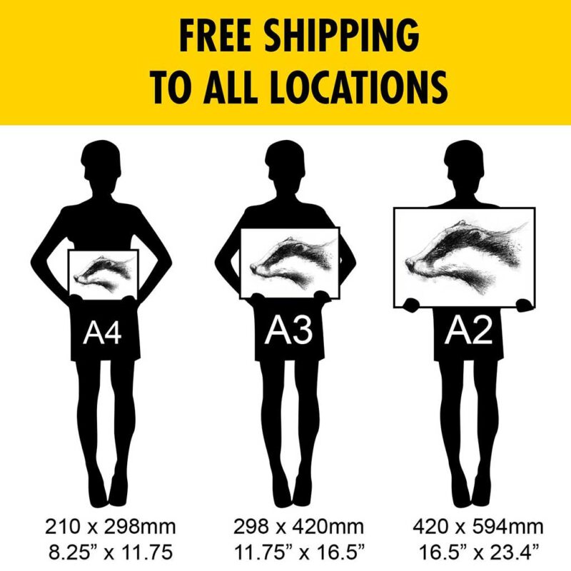 Original sketch | SeanBriggs