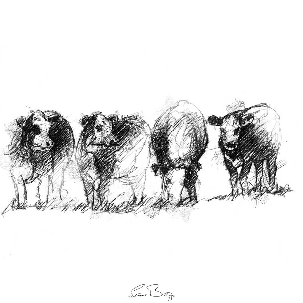 Domestic animal sketches and drawings | SeanBriggs