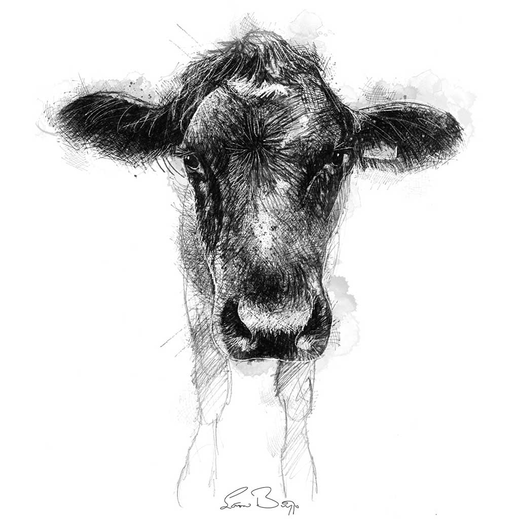 Bullock sketch | SeanBriggs