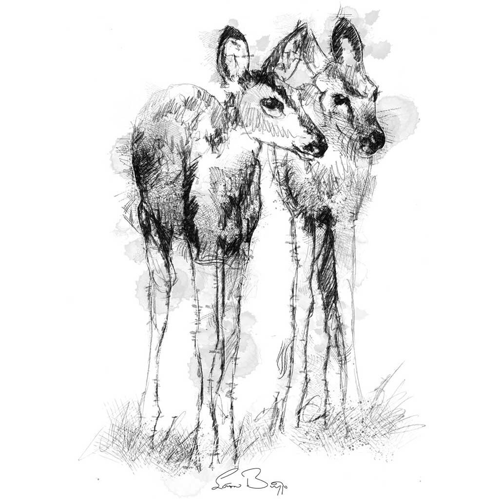 Wild animal sketches and drawings | SeanBriggs