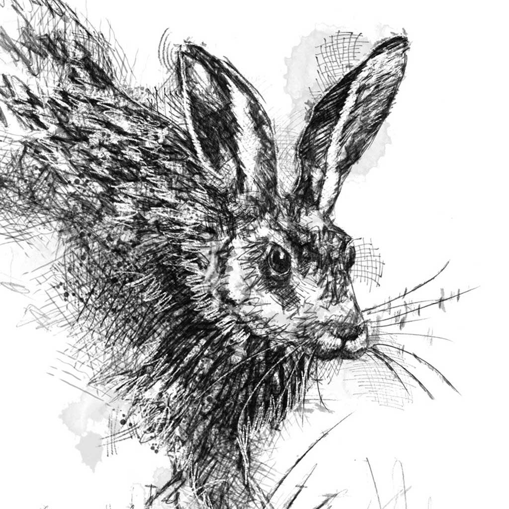Running hare sketch | SeanBriggs