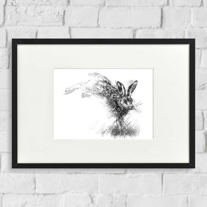 Running hare sketch | SeanBriggs