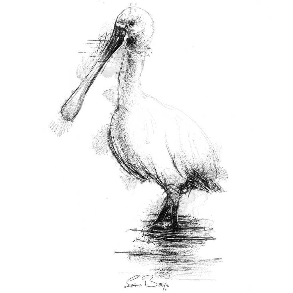 Original sketch | SeanBriggs