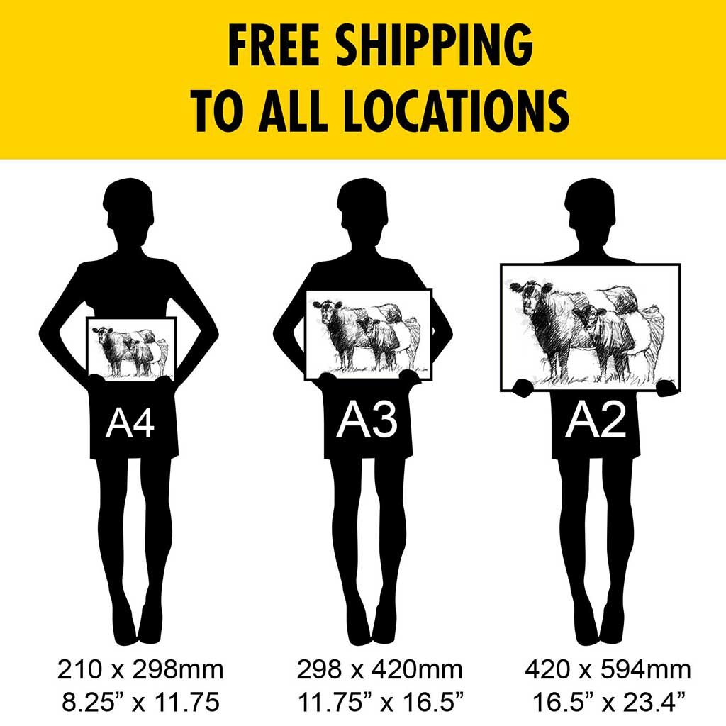 Belted Galloways sketch | SeanBriggs