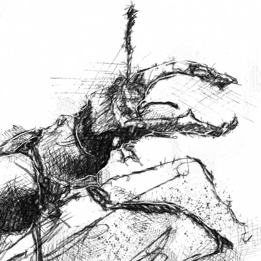 Stag beetle sketch | SeanBriggs