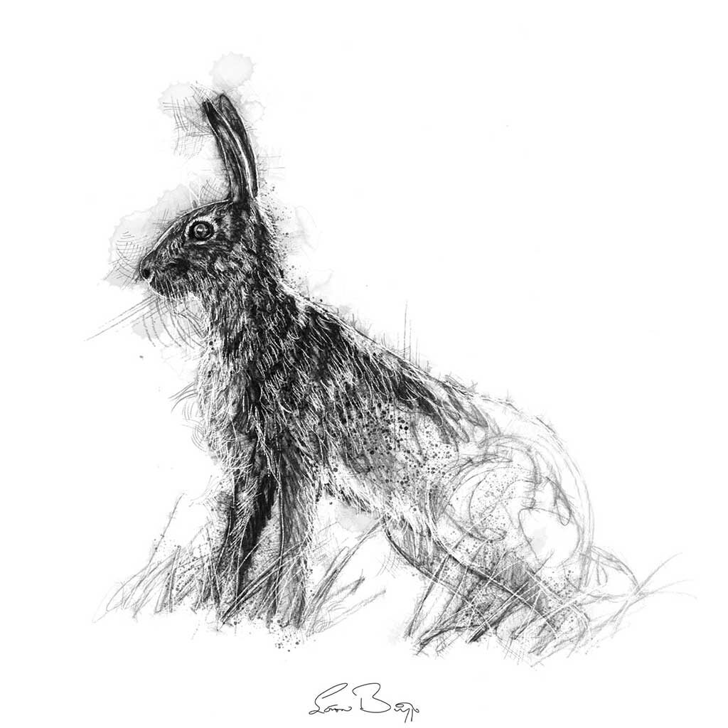 Brown hare pose sketch | SeanBriggs