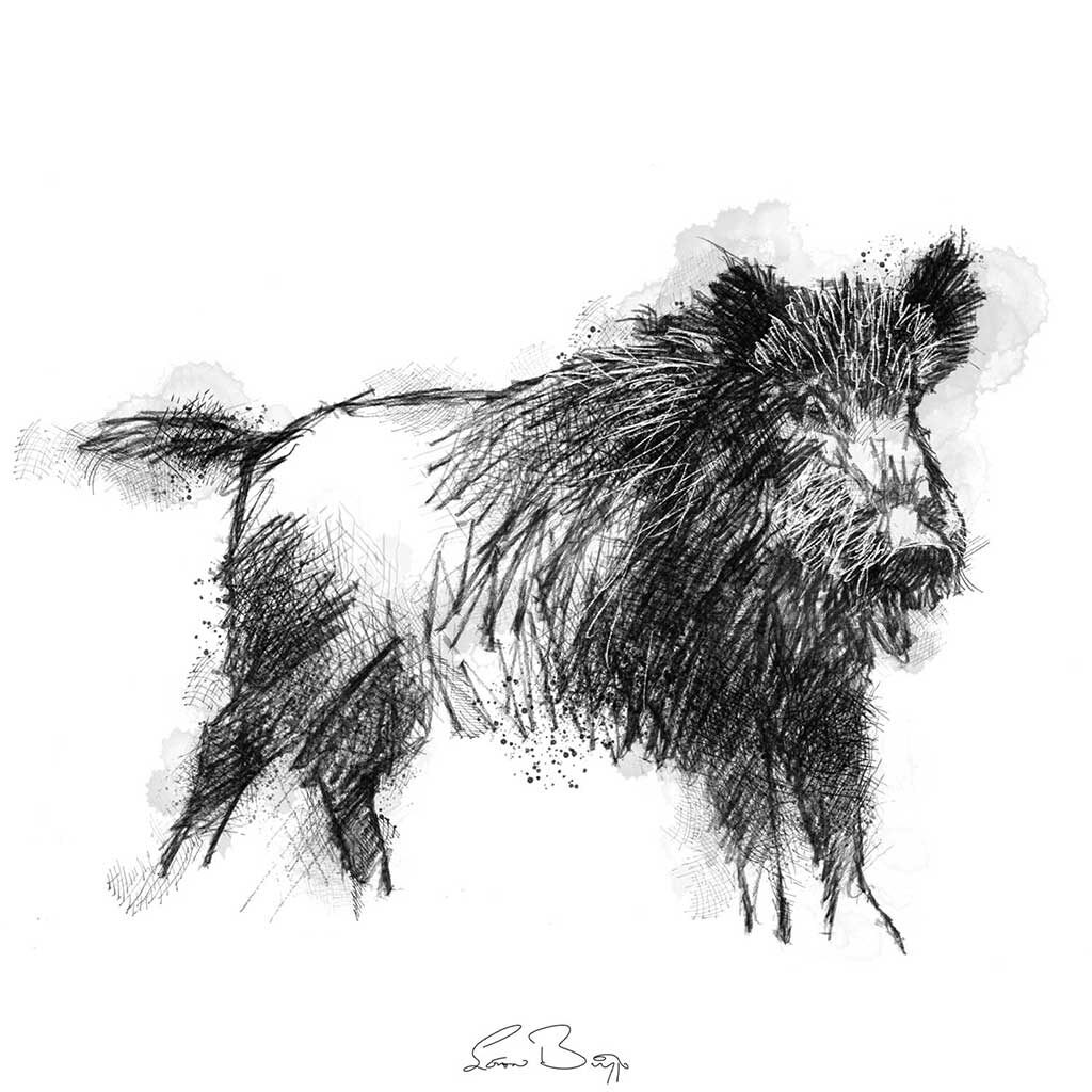 Wild boar sketch | SeanBriggs