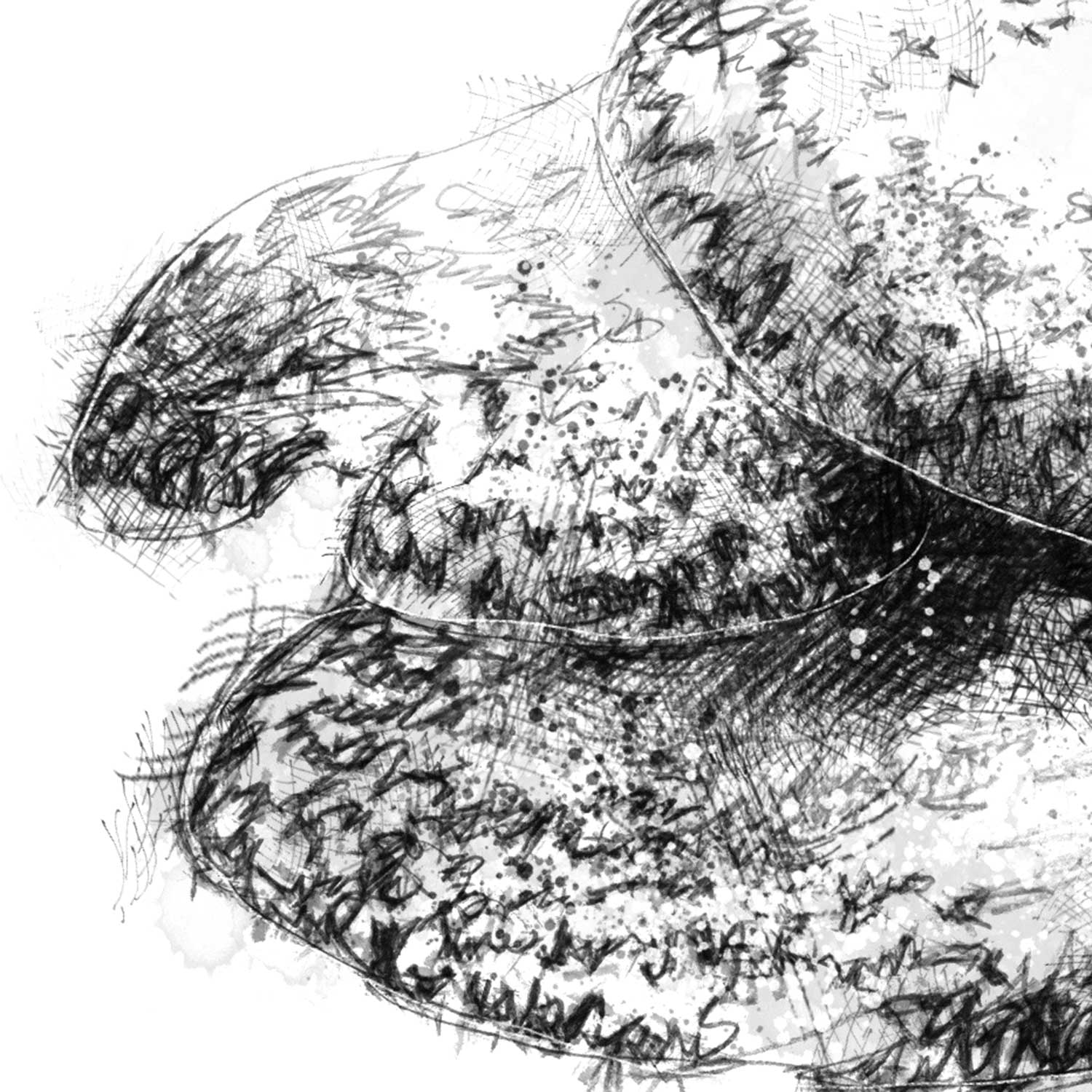 Bracket fungus sketch | SeanBriggs