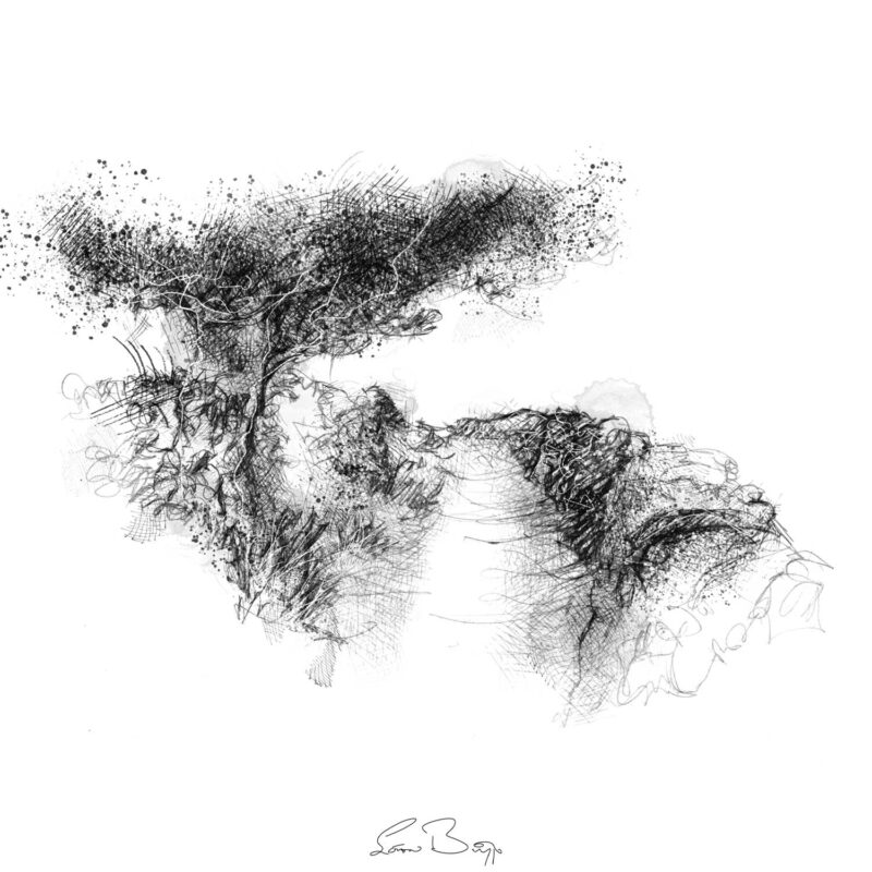 Country lane sketch | SeanBriggs