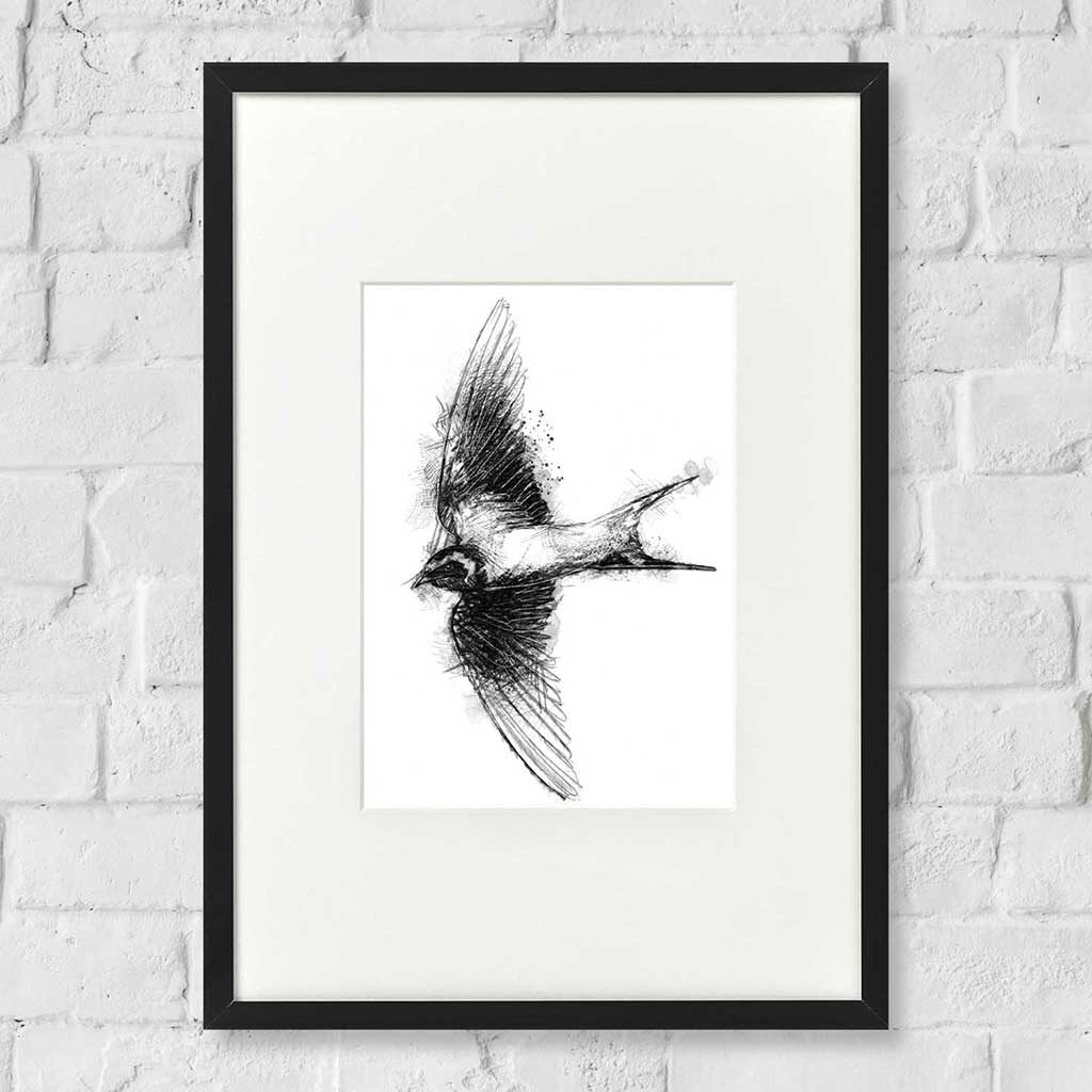 Barn swallow sketch | SeanBriggs