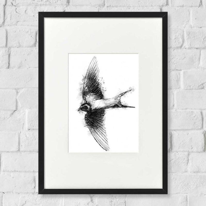 Barn swallow sketch | SeanBriggs