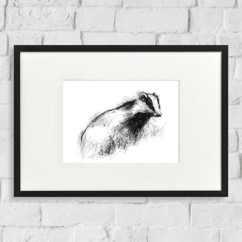 European badger sketch | SeanBriggs