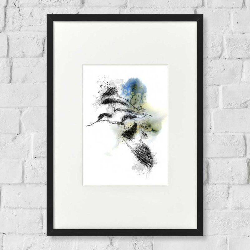 Avocet flight sketch | SeanBriggs